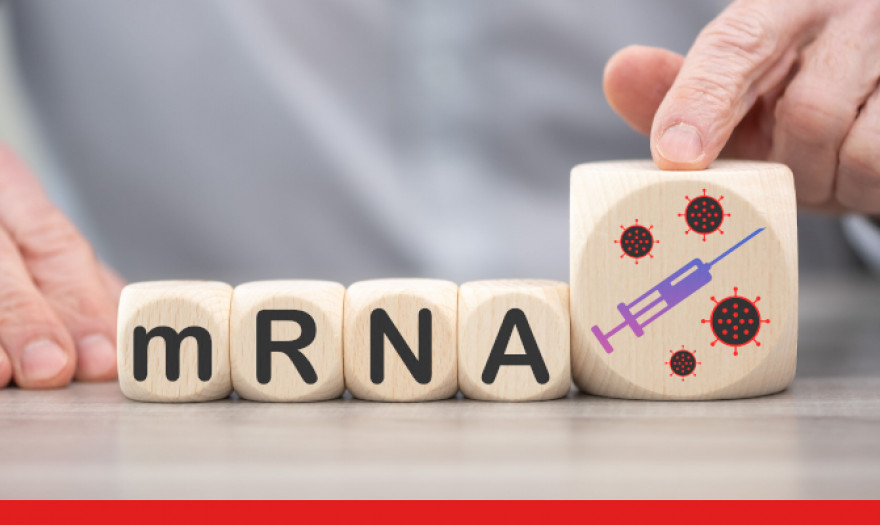 Το mRNA ίσως είναι το μέλλον της ιατρικής | Economistas.gr